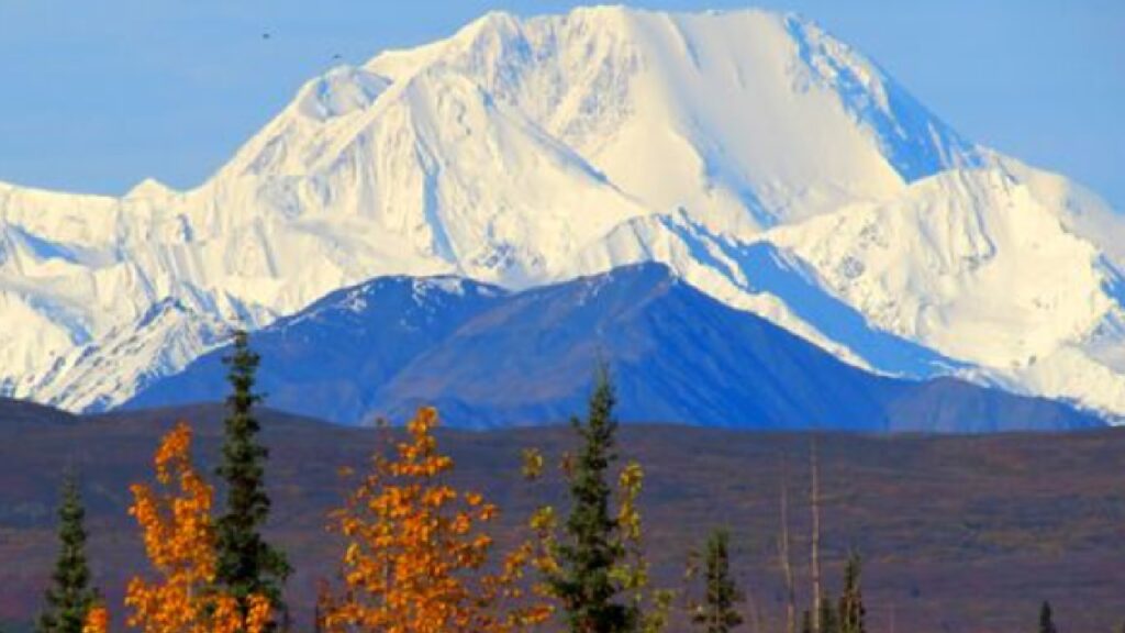 Viene alla luce il Colosseo dei dinosauri, incredibile scoperta in Alaska