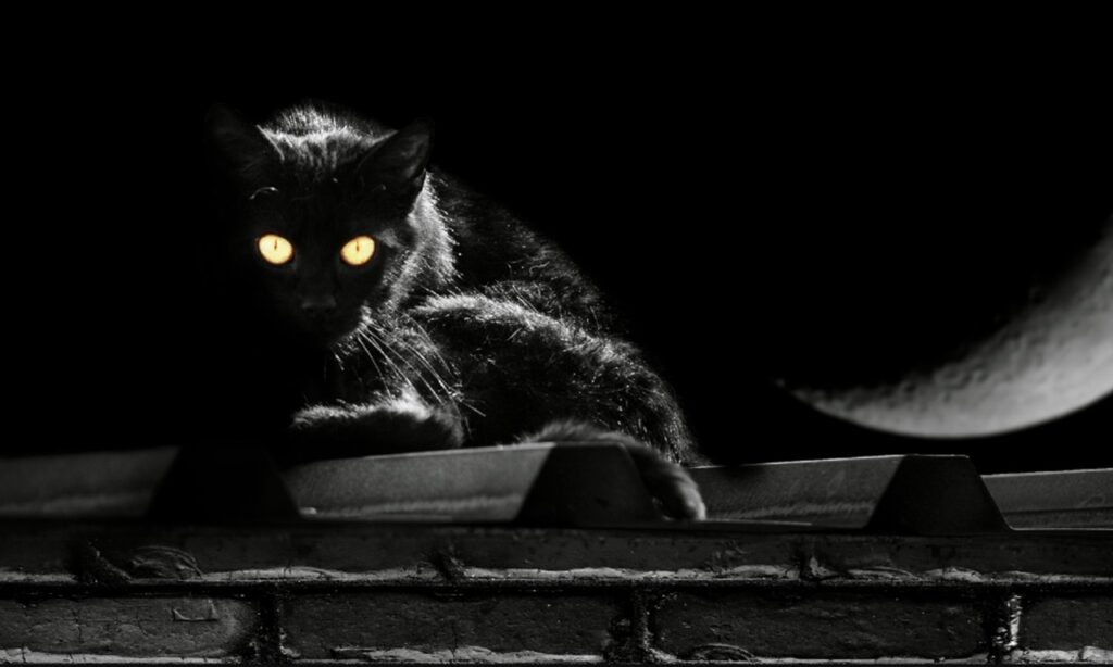 L'Arco delle Streghe di Bari: gatti neri, magia e sortilegi nella ...