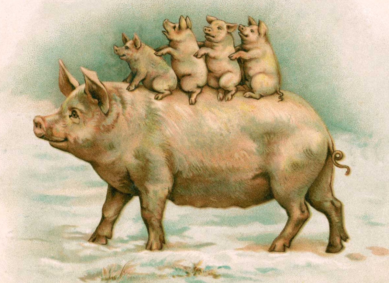 Una scrofa a processo: accadeva nella Francia del XV secolo